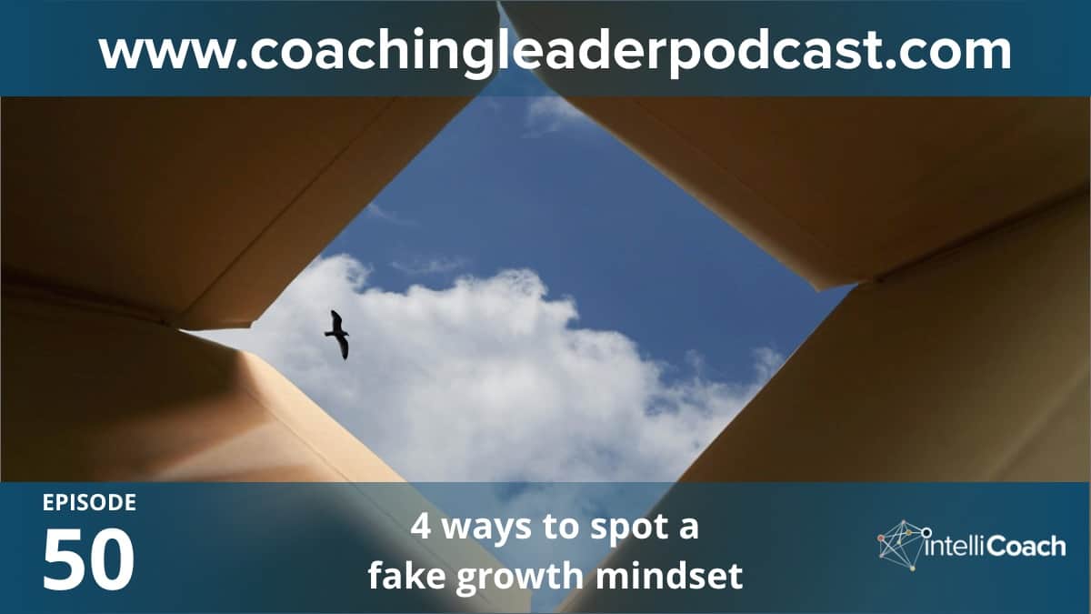 4 ways to spot a fake growth mindset (Podcast #50)